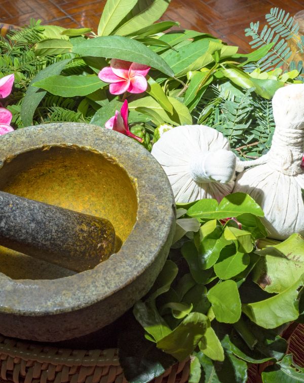 Ayuryoga International Retreat and Research Center | Ayurveda
